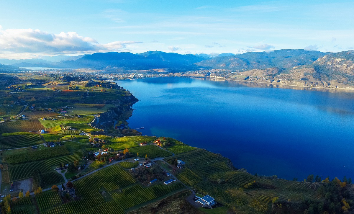 Sense of Place for Naramata Bench Vineyards Celebrated at Naramata Wine ...