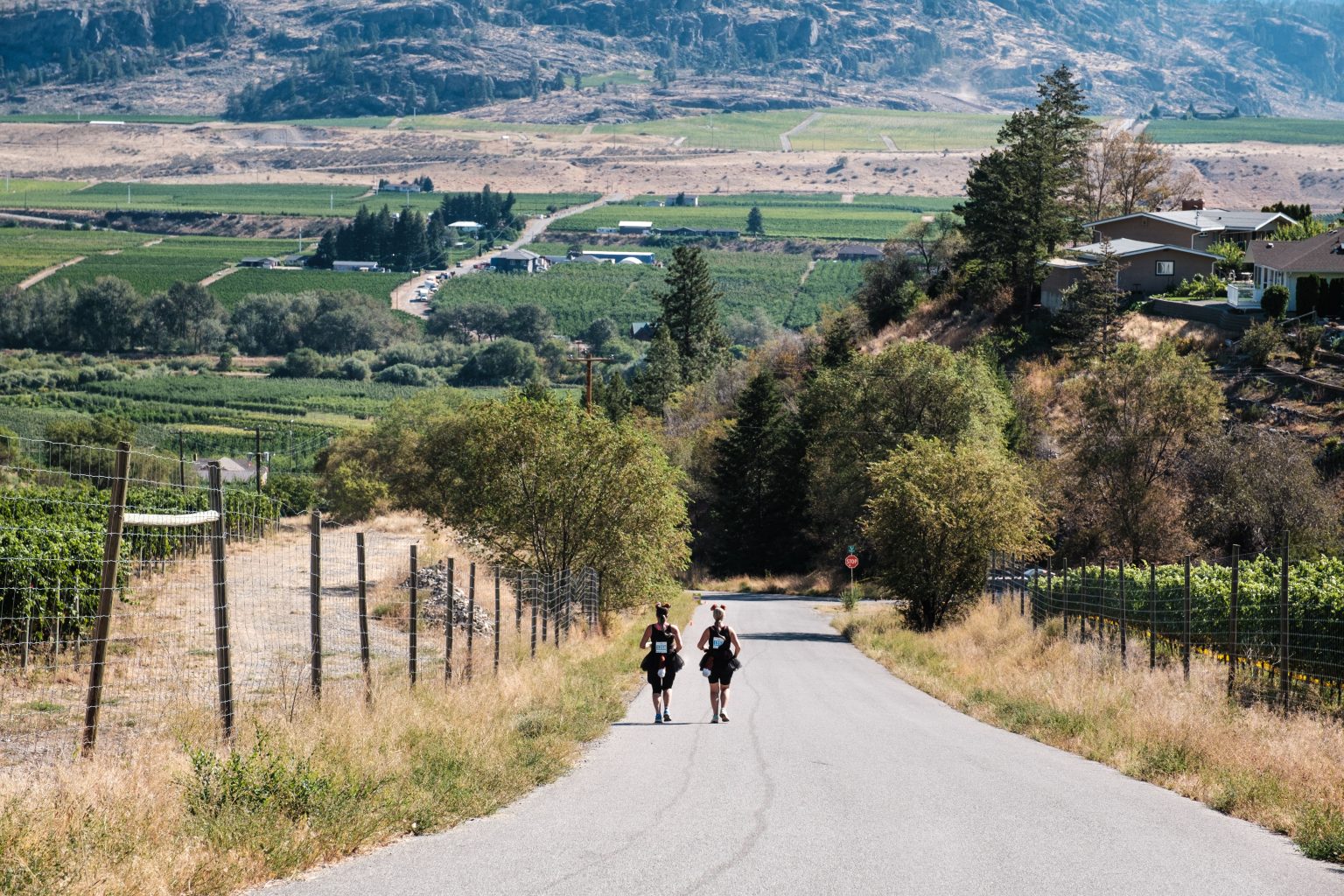 Oliver Osoyoos Wine Country announces 2023 signature events - Gonzo ...