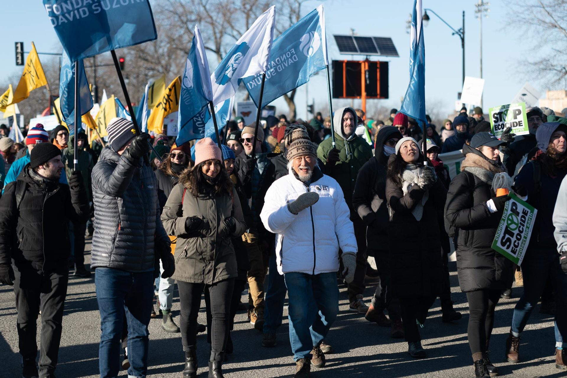 Paradigm shift needed to halt and reverse biodiversity loss - Gonzo ...